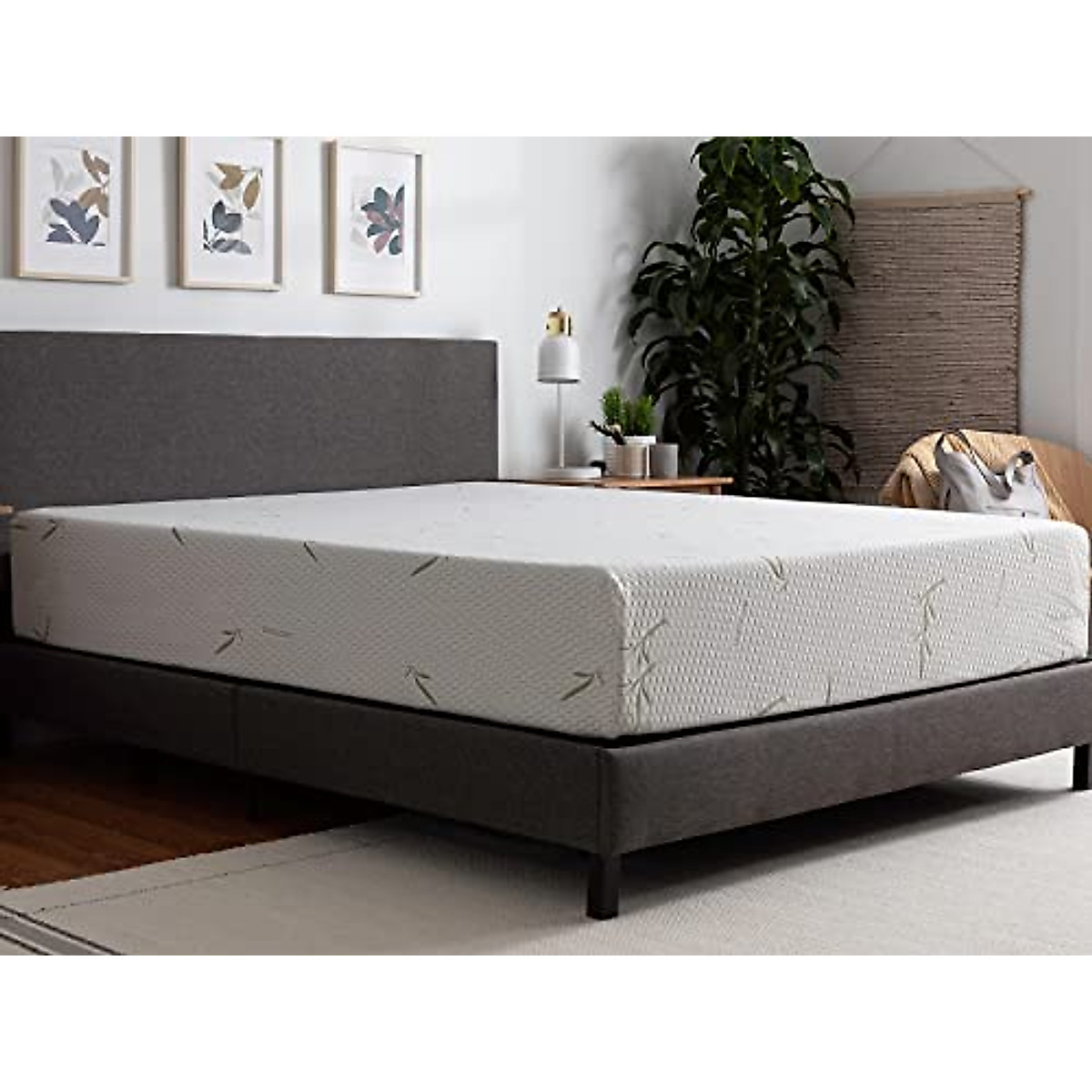 Tulo 10" Medium-Plush Memory Foam Bamboo Pressure Relief Mattress in a Box | Queen Size