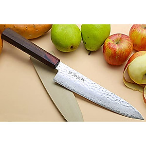Yoshihiro VG-10 46 Layers Hammered Damascus Gyuto Japanese Chefs Knife (Octagonal Shitan Rosewood Handle) (8.25" (210mm))