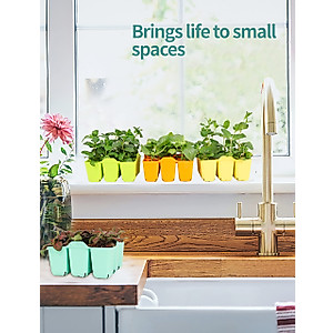 LUVCOSY 4 Packs Silicone Seed Starter Tray, Colorful Seedling Starter Trays Fit Up to 10" 10" Planting Tray, BPA-Free & Dishwasher Safe, Indoor Reusable Seedling Grow Kit for Vegetable, Flower, Herb