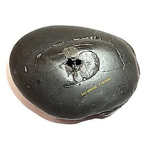 Janardhana Shaligram