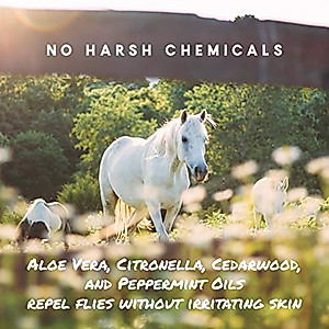 Espree Aloe Herbal Horse Spray | Fly Repellent with Aloe, Sunscreen, and Coat Conditioners | Promotes a Healthy Coat and Protection from The Sun | 32 oz Ready to Use