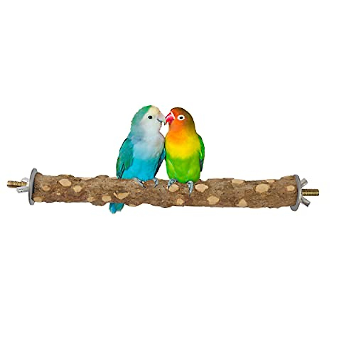 Blue Mars Bird Perch Wooden Platform for Bird, Natural Prickly Wood for Bird Carrier and Bird Cage, with 2 Screw Holder
