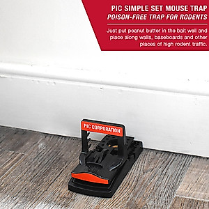 Pic PMT2 Plastic Mouse Trap, 2-Pack
