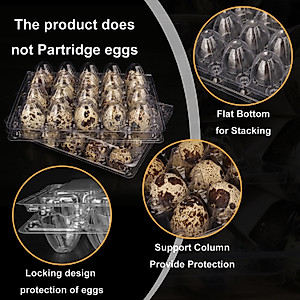 KUKLIPJIM 150 Pack Quail Egg Cartons, Clear Plastic Quail Egg Trays, Holds up to 20 Quail Eggs Securely - Your Ultimate Small Eggs Carton Holders for Bulk Storage and Display