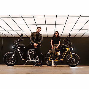 Hover-1 Altai Pro R750 Electric Bicycle with 28 mph Max Speed, 750W Motor, Average Range of 55 Miles, and Accessories