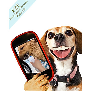 Fumzen Cordless Water Flosser Dental Care for Pets Portable Water Teeth Cleaner for Dogs Oral Irrigator with 3 Modes 2 Jet Tips IPX7 Waterproof Pets Cats Dogs Teeth Cleaning (Blue)