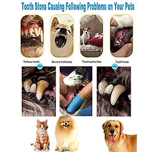 Teeth Cleaning Kit Dog Plaque Tartar Remover Tools Pet Dental Tooth Scaler and Scraper Silicone Finger Toothbrush for Puppy Cats Tooth Pick Stone Remover Dogs Oral Care Hygiene Cleaning Tools (12Pcs)