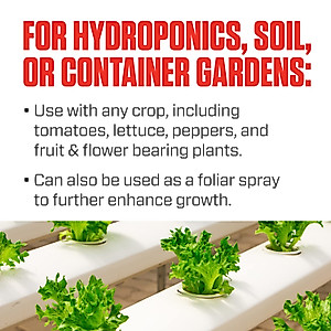 Botanicare Cal-Mag Plus, A Calcium, Magnesium, and Iron Plant Supplement, Corrects Common Plant Deficiencies, Add to Water or Use as a Spray, 2-0-0 NPK, 1-Gallon