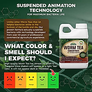 Worm Tea for Gardening Soil - Worm Tea Fertilizer Liquid - Worm Castings, Earthworm Casting Manure Fertilizer - Earthworm Tea Worm Castings - PetraTools Worm Casting Concentrate (8 Oz)