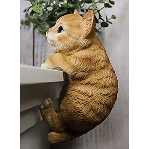 Ebros Lifelike Pot Pal Hanging Orange Tabby Cat Statue 8" Tall with Glass Eyes Hand Painted Realistic Feline Cat Decor Figurine Cats Kittens Kitties Animal Pet Sculpture Garden Patio Decorative