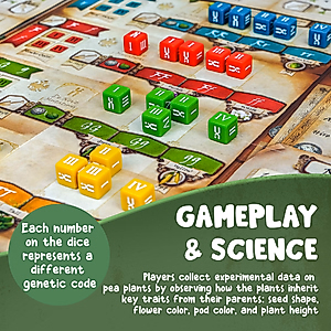 Genotype: Mensa Award Winning Genetics Board Game about Mendel's Pea Plants