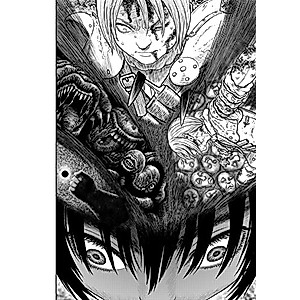 Berserk Volume 41 (Berserk (Graphic Novels))