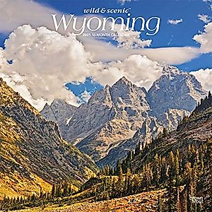 Wild & Scenicwyoming 2021 Calendar