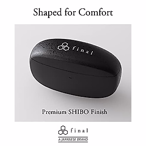 Final ZE3000 True Wireless Earbuds, Hi-Fi Sound Quality, Maximum 35 Hours Music Playback, IPX4, aptX Adaptive, Touch Sensor, Support Lossless Music Format, Designed in Japan (Black)
