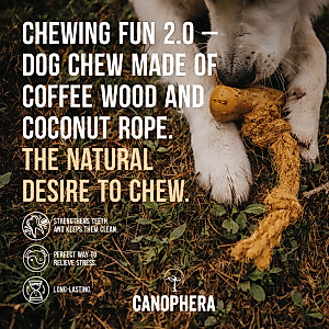 Canophera Dog CHEW Made of Coffee Wood and Coconut Rope - for All Breeds (Large)