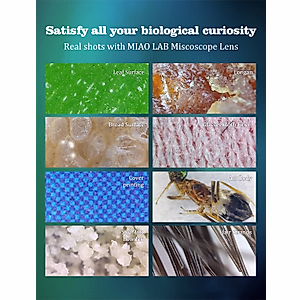 Phone Microscope with CPL Lens/LED Light, Nano Zoom 200X Pocket Microscope Camera Attachment with Universal Clip for Most iPhone/Andriod Phone - The Best Gift to Enjoy Microworld for Kids and Adults