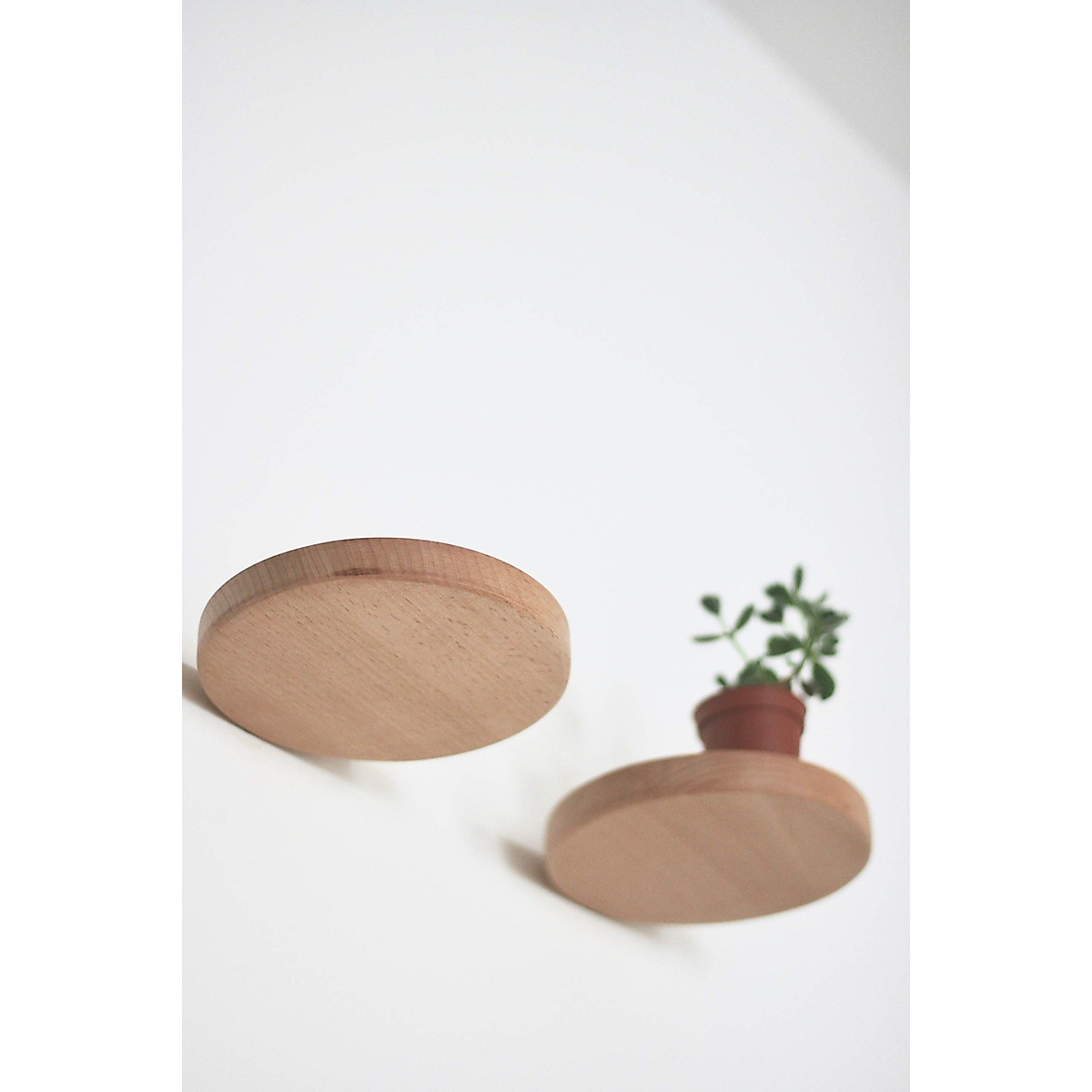 anaan Coracle Floating Shelf Wood Round Wall Mounted Showcase Wall Shelf Hanging Planter Storage Wooden Shelf for Plants Photo Candle Invisible Wall Decoration Design Set of 2 (Diameter Ø5.9 inch)
