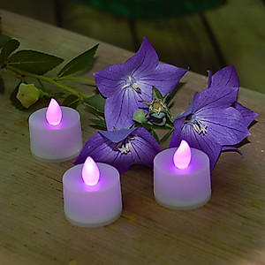 LumaBase Battery Operated Tea Light Candles, Purple - Set of 12