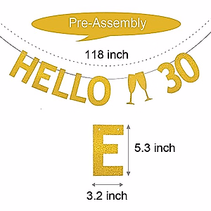 WEIANDBO Gold Glitter Banner,Hello 30,pre-assembled,30th Birthday Party Decorations Bunting Sign Backdrops,Hello 30