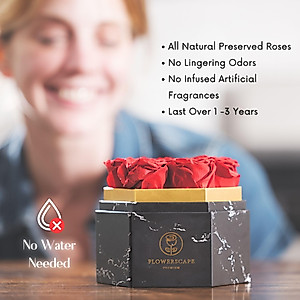 Forever Rose Flowers Delivery Prime - Fresh Bouquet - Valentines Mothers Day Birthday Anniversary for Women Mom Wife Girlfriend and Her - 7Pcs (Hexagon-Red)