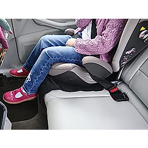 Prince Lionheart Compact Seatsaver