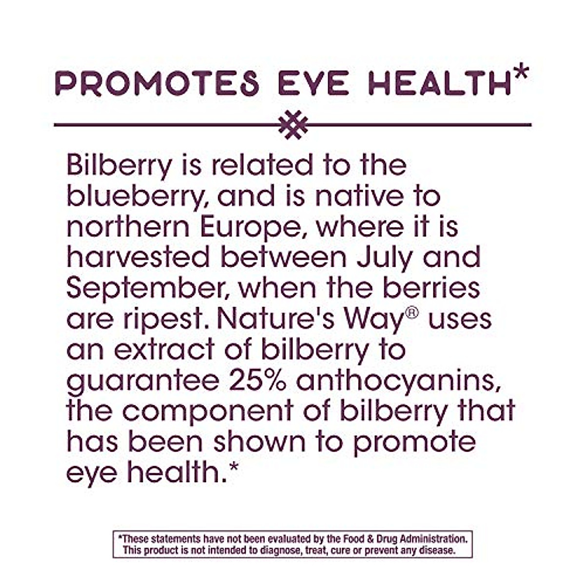 Nature's Way Bilberry Extract for Eyes with Black Elderberry*, Eye Health Supplement for Adults*, 90 Capsules