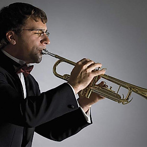 Silver Trumpet Mouthpiece 7C 5C 3C Trumpet Mouthpiece Set with Box Cleaning Cloth Compatible with Yamaha Bach Conn King Musical Instruments for Beginners and Professional Players 3Pack