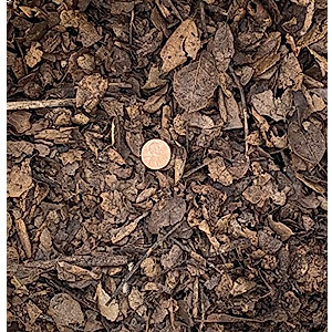 2.5 Quarts Natural Oak Leaf Mold for Acid Loving Plant, Cactus & Succulent, Bonsai Tree Soil Mix - Organic Additive