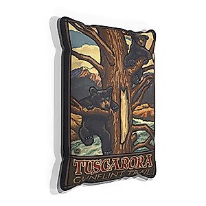 Tuscarora Gunflint Trail Minnesota Two Bear Cubs Canvas Throw Pillow for Couch or Sofa at Home & Office from Travel Artwork by Artist Paul A. Lanquist 13" x 19".