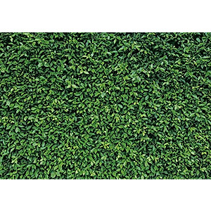 Msocio 10x8ft Durable Polyester Fabric Spring Greenery Leaves Grass Nature Photography Backdrop for Birthday Wedding Safari Dinosaur Baby Shower Party Decorations Background Portrait Photo Booth