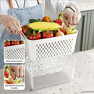 KEMETHY 10 Pack Fruit Storage Containers for Fridge with Removable Colanders - Food Storage Containers with Lids, BPA-Free Produce Containers Keep Fruits, Vegetables, Berry, Meat Fresh Longer