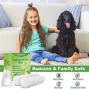 10 Pack Mouse Repellent Mice Deterrent Repellent for House, Rat Repellent Peppermint Oil to Repel Mice and Rats, Rodent Repellent Balls for Outdoor Indoor Pest Insect Control