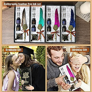 TIANREN Feather Pen and Ink Set,quill pen ink set,Antique Calligraphy Pen with 4 Replaceable Nibs,2 Bottle of ink,Pen Holder Christmas Gift for Men&Women.(Gray)