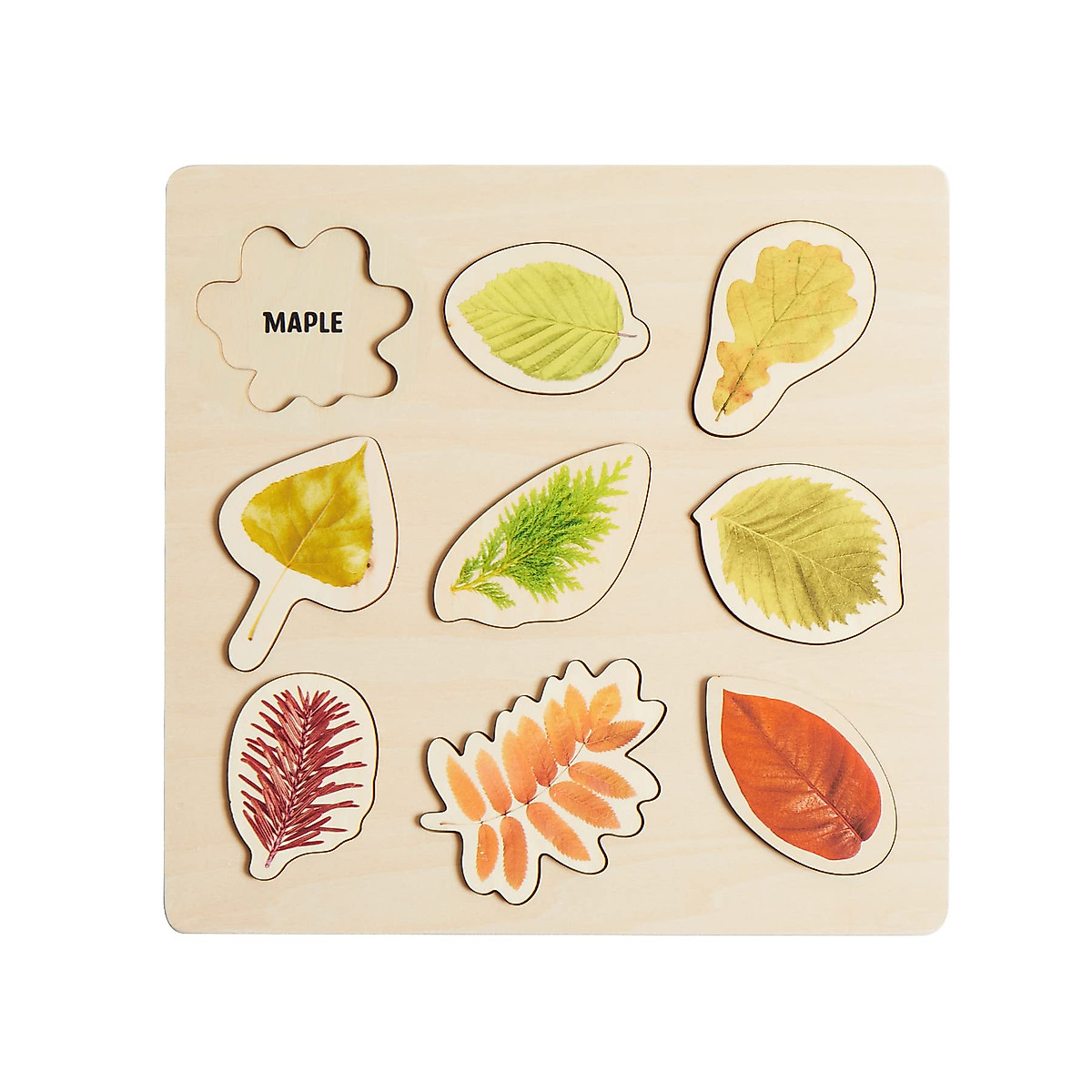 Asweets Leaf Wooden Jigsaw Puzzles Educational Learning Leaf Puzzle Montessori Toy Boys Girls Birthday Gift Colorful Shape for Thanksgiving Day