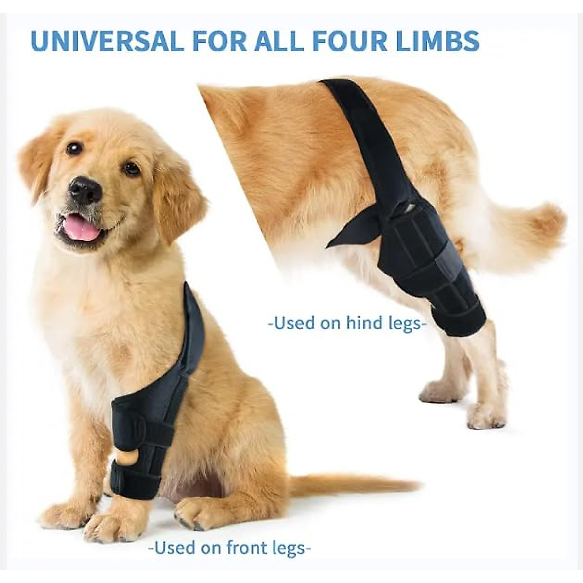 Dog Knee Brace for Torn ACL Hind Leg - Adjustable Leg Support for Hip Dysplasia, Dog Arthritis, Inflammation, Luxating Patella - Comfortable and Durable Dog Leg Braces for Back Leg - Black (Small)