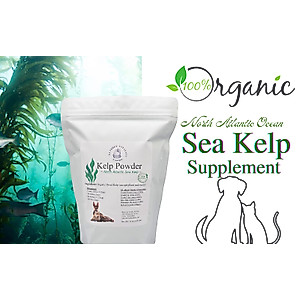 Kelp Powder for Dogs/Cats, Natural North Atlantic Ocean Sea Kelp, Vitamins Minerals and Antioxidants for Ultimate Health (15 Ounce)