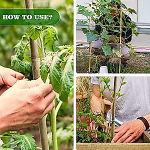 Jollybower 25pcs 1/2" D Thicker Heavy Duty Bamboo Stakes, 4FT Plant Stakes, Natural Garden Stakes for Tomato, Bean, Flowers,Trees Potted and Climbing Plant Support