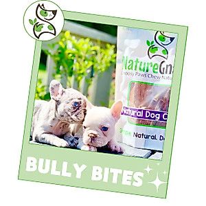 Nature Gnaws Bully Stick Bites for Small Dogs 2-4" (8oz) - Long Lasting for Light Chewers and Puppies - Natural Beef Dog Chew Treats - Rawhide Free