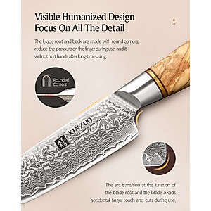 XINZUO Steak Knife Set of 4, Damascus Powder Steel Kitchen Steak Knife Set, Non Serrated Steak Knives, Razor-Sharp Dinner knives with Gift Box, Kitchen Table Knife with Olive Wood Handle-Lan Series