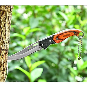 FEIZII Small Folding Knife Tactical Knife Outdoor Lifesaving Pocket Knife Convenient for Daily Carrying (12PACK)