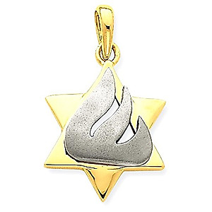 14K Two Tone Gold Star of David Jewish Magen Necklace Judaica Religious Pendant Israel Charm Only