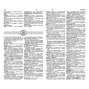 Merriam-Webster's Dictionary and Thesaurus, Newest Edition, Mass-Market Paperback