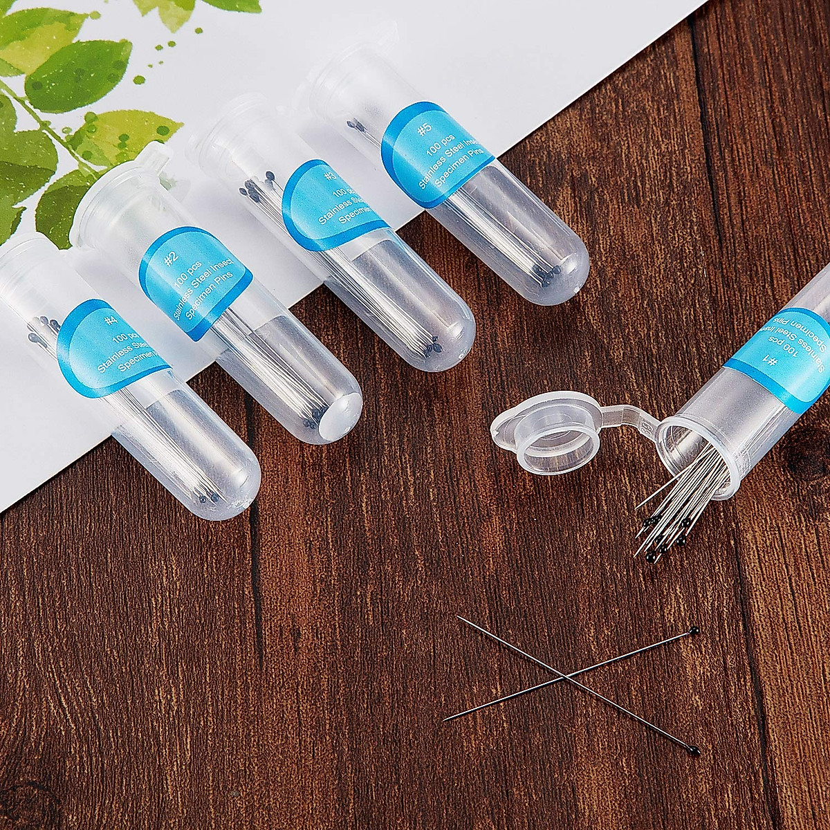 Stainless Steel Insect Pins Kit Specimen Entomology Pins Butterfly Collections Needles Variety Pack for School Lab Entomology Dissection Butterfly Collectors (500 Pieces, 5 Sizes)