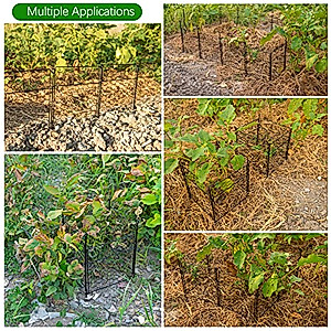 nutroeno Chicken Wire Cloche Plant Protector – Mesh Plant Cage Supports for Vegetables, Plants and Shrubs from Animals, Rabbits, Cats and Lawn Mowers, Garden Barrier Fencing. (2 Sets)