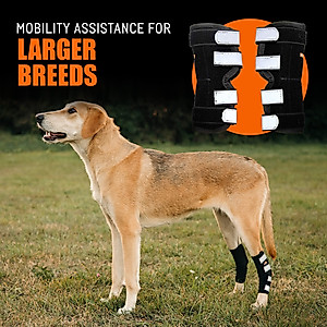 NeoAlly - Rear Leg Hock Brace with Metal Spring Strips, Dog Leg Brace for Rear Leg, Hock & Ankle Support, Rear Dog Leg Brace for Large Dogs, Long. (Both Legs, Small)