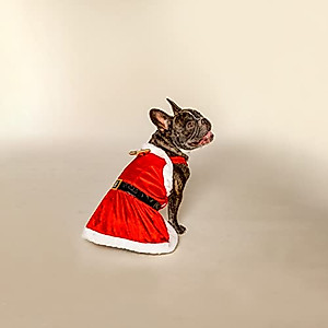 Doggy Parton Red Faux Fur Trimmed Dollys Little Holiday Dress for Pets, Medium