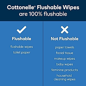Cottonelle XL Flushable Wet Wipes, Adult Wipes Large, 8 Flip-Top Packs, 45 Wipes Per Pack (360 Total Wipes), Packaging May Vary