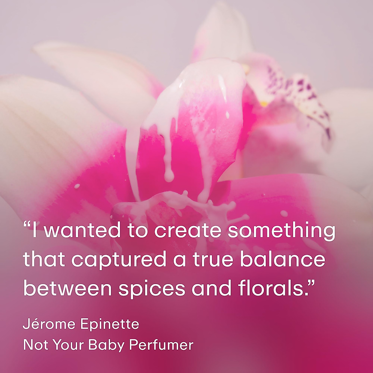 PHLUR Not Your Baby Eau de Parfum - Full Size Perfume for Women & Men Fragrance - Spicy Floral Perfume with Cardamom, Bergamot, Sandalwood & Vanilla (50mL)