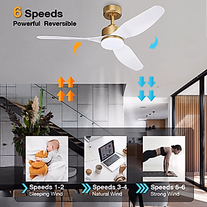 Hoenofly 48 Inch Smart Ceiling Fans with Lights and Remote Control,Dimmable LED Light,Outdoor Indoor Gold White Ceiling Fan,Quiet DC Motor,WIFI Alexa App Workable,for Modern Bedroom Living Room Patio
