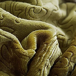 Tache Green Sherpa Throw Blanket - Earth Day - Embossed Plush Cozy Comfy Cuddly Fluffy Light Olive Lime Green Luxury Durable Super Soft Warm Decorative Flannel for Couch and Sofa - 50X60 Inch